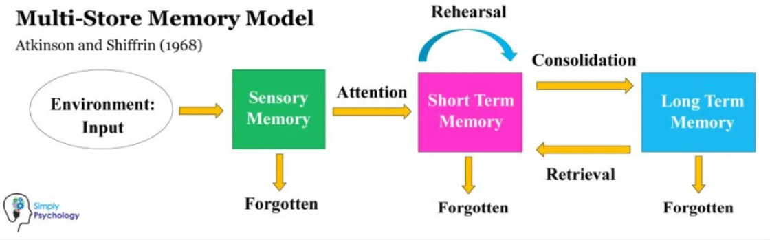 What Is Information Processing Theory Explanation Examples