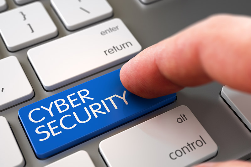 Cyber Security Training Essentials | Skillshub