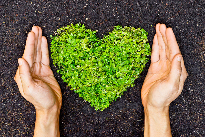 Environmental Awareness Training – eLearning Course | Skillshub