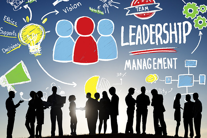 Leadership and Management Courses Online | Skillshub Marketplace